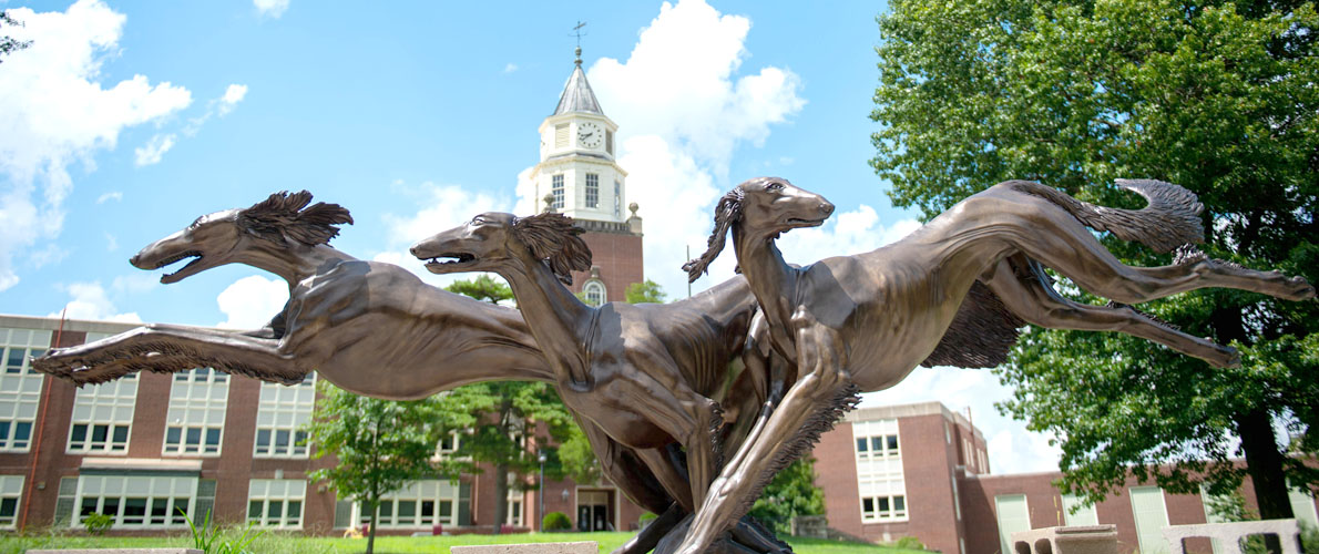 Southern Illinois University - Your College in Illinois