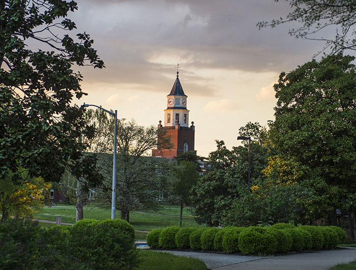 Southern Illinois University - Pre-Med