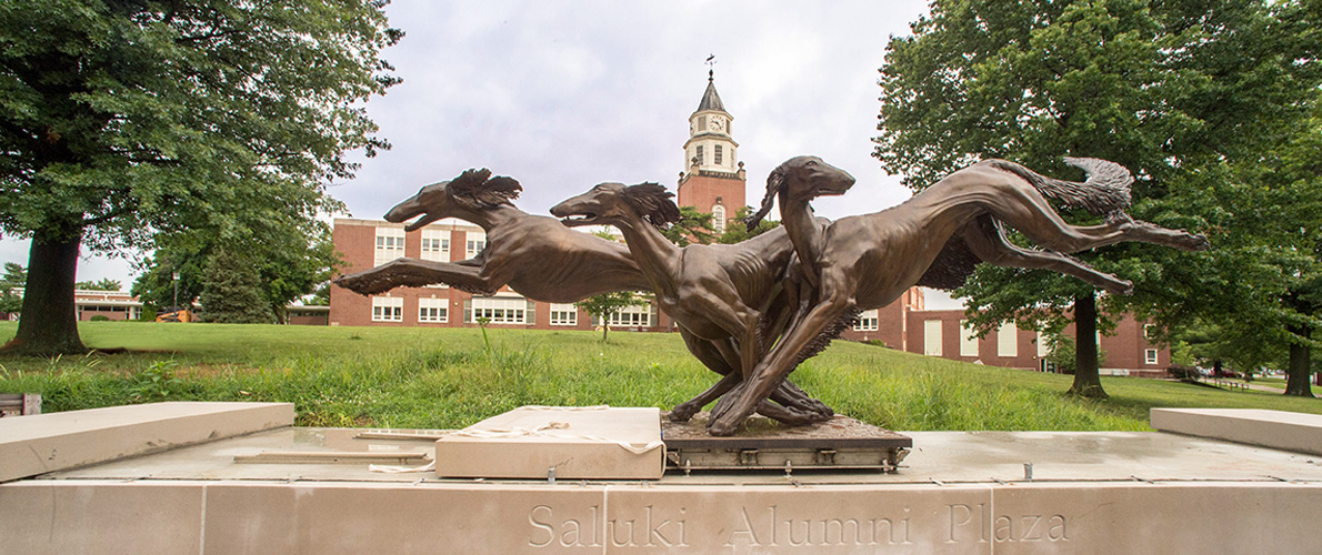 Southern Illinois University - Your College in Illinois